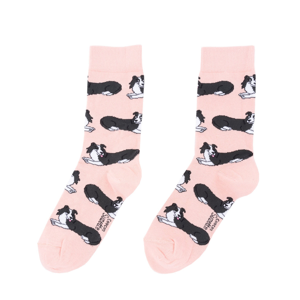 Border Collie Socks – Coucou Suzette