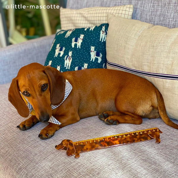 Original Dachshund shaped Ruler – Coucou Suzette